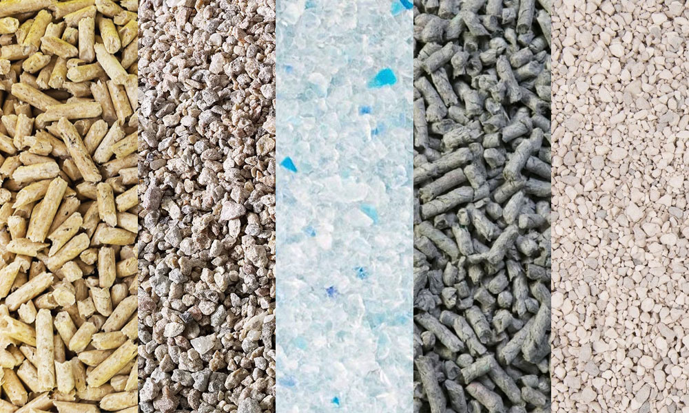 Choosing the Right Cat Litter | Cat Litter Comparison Chart